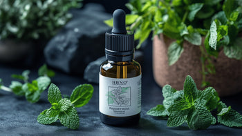 How to Make Peppermint Oil at Home – hbno.com